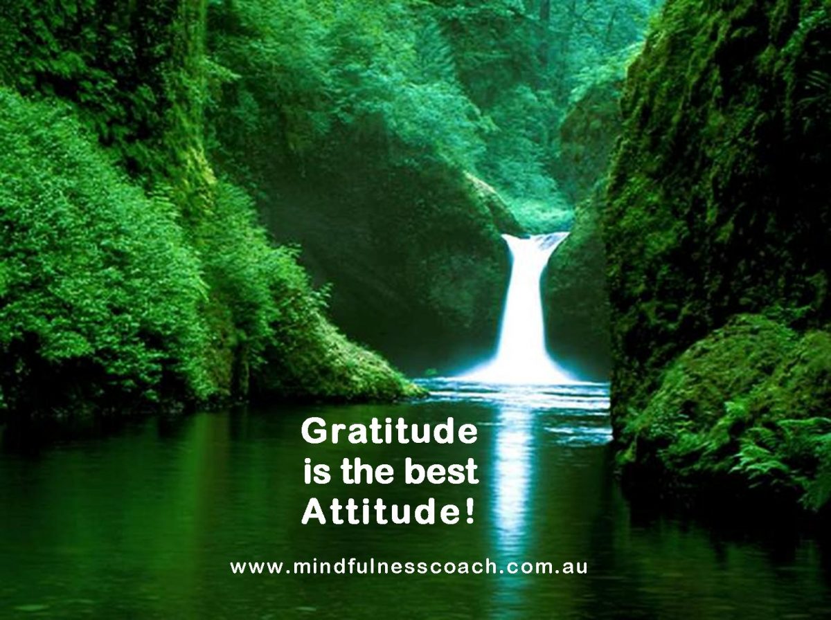 Attitude of Gratitude – Mindfulness Coach